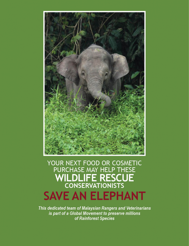 Your next food or cosmeticpurchase may help thesewildlife ...